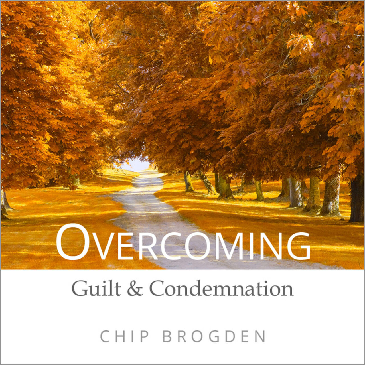 Overcoming Guilt & Condemnation | The School of Christ